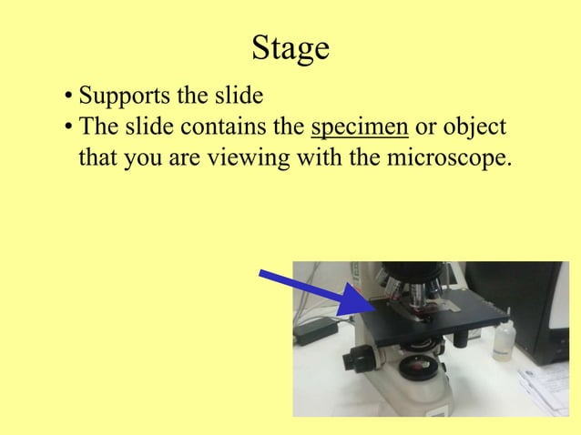 Intro to the Microscope PPT FOR MBBS STUDENTS | PPTX