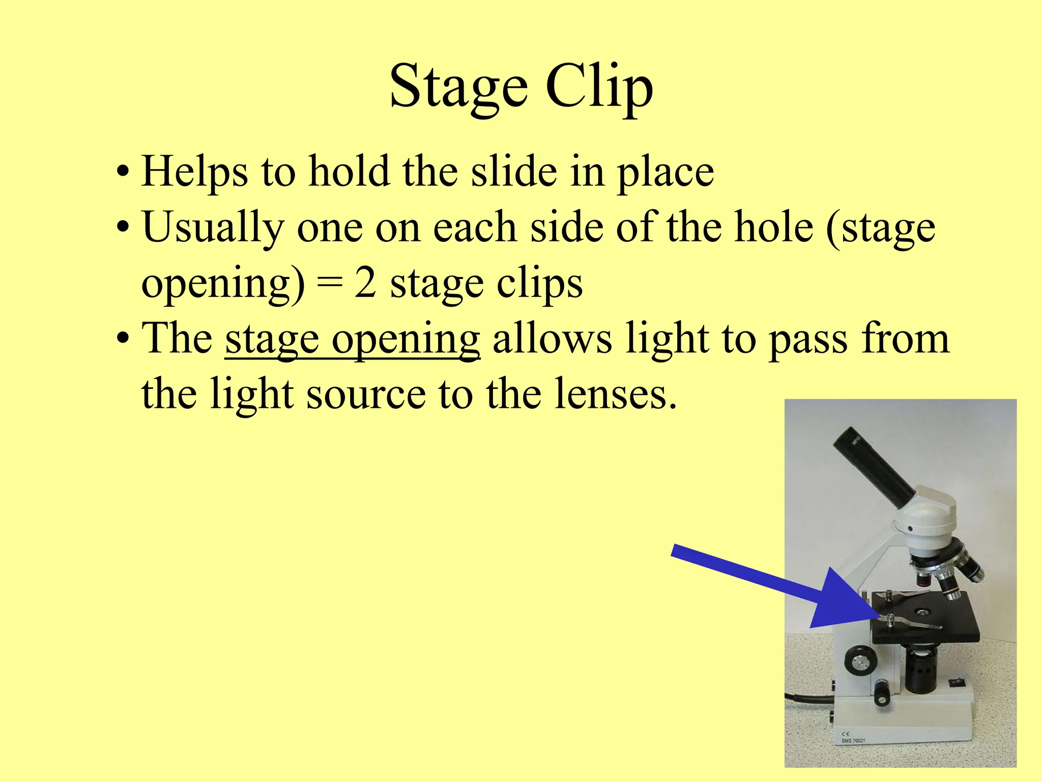 Intro to the Microscope ALL TYPES PPT.pptx | Free Download