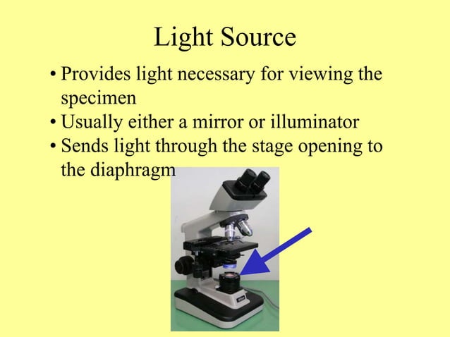 Intro to the Microscope ALL TYPES PPT.pptx | Free Download