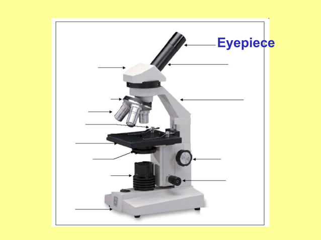 Intro to the Microscope ALL TYPES PPT.pptx