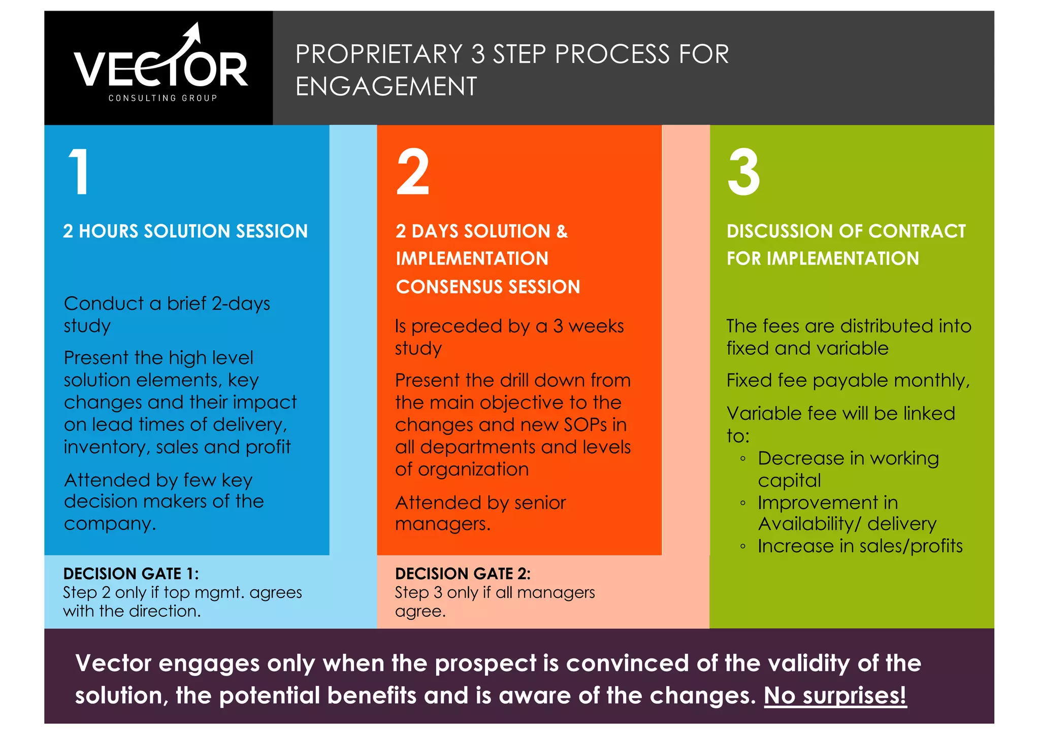 Introduction to Vector Consulting Group | PDF
