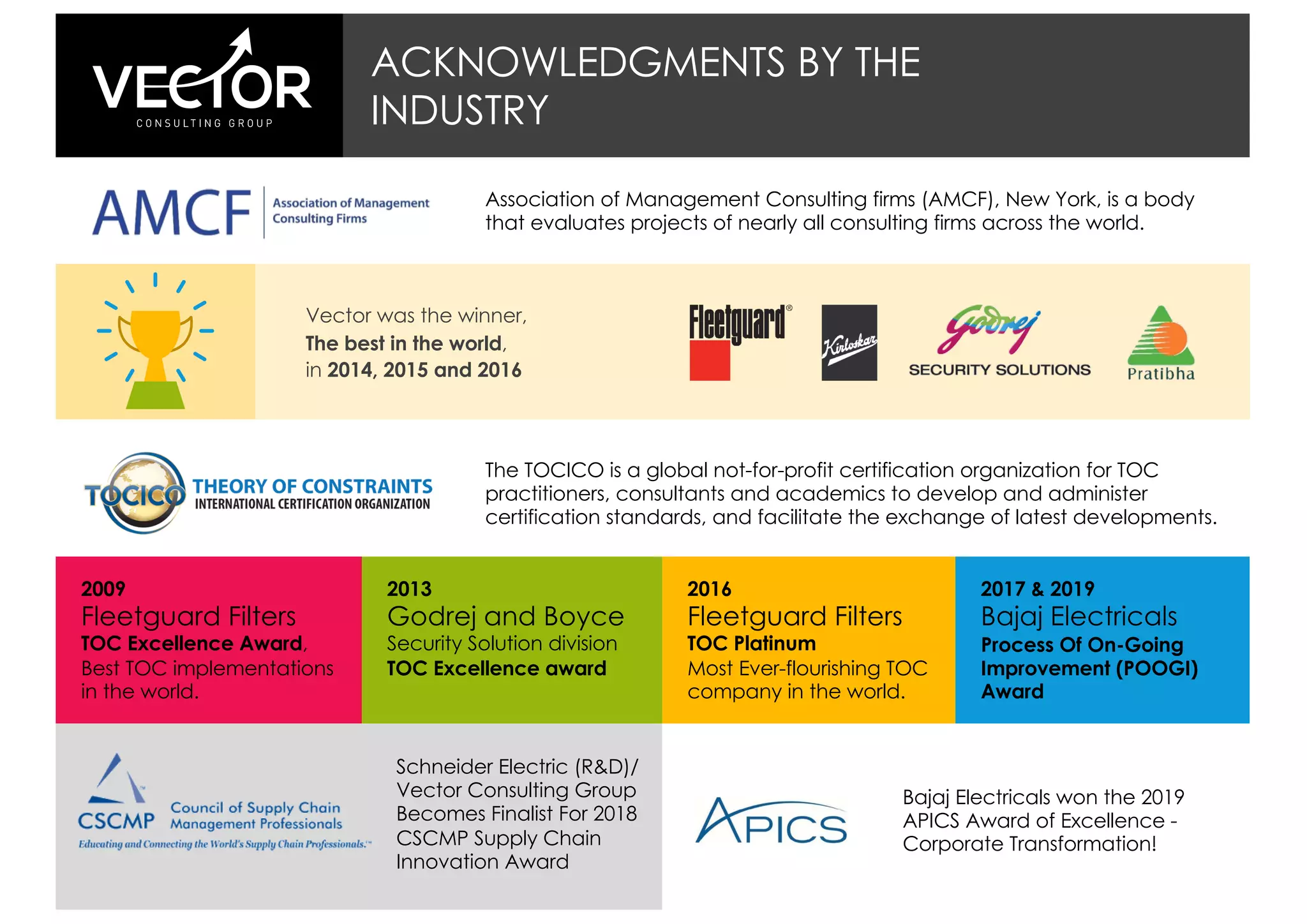 Introduction to Vector Consulting Group | PDF