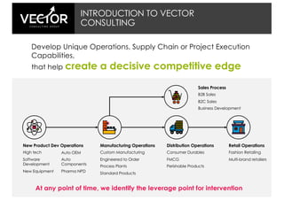 Introduction to Vector Consulting Group | PDF
