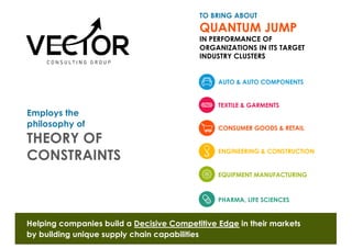 Introduction to Vector Consulting Group | PDF