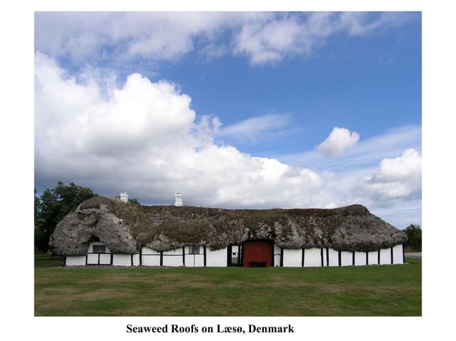 intro to vernacular architecture.ppt