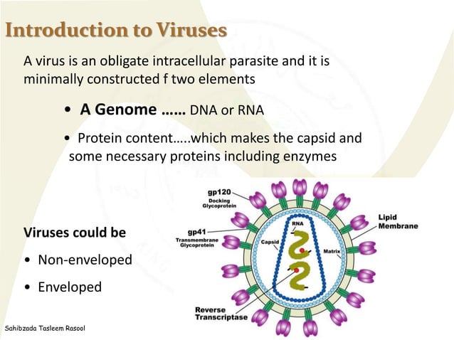 Intro to Virology.pptx