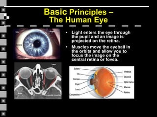 Intro_to_Visual Inspection.ppt