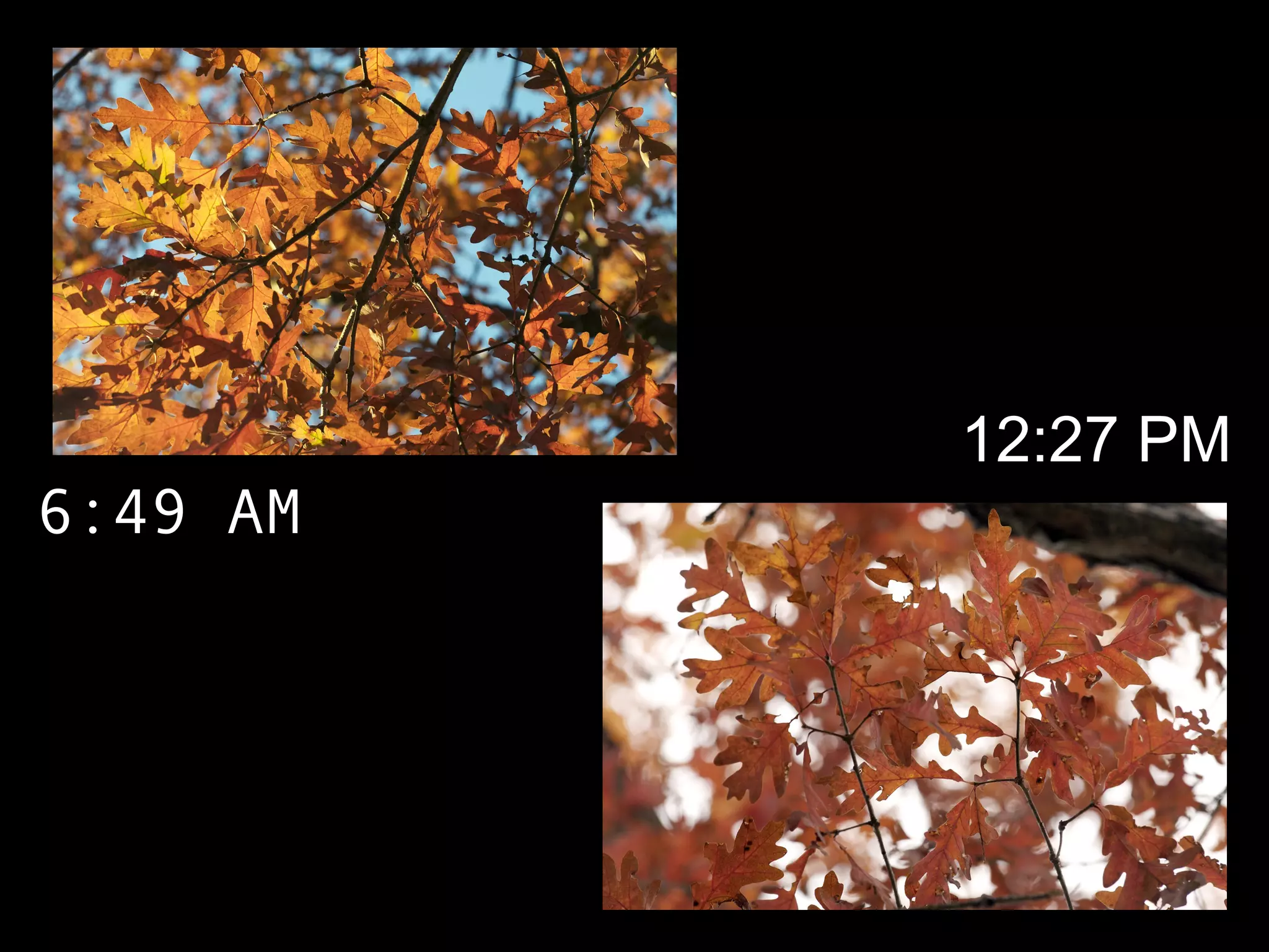 Creative Process - Window Light Portrait | PPT