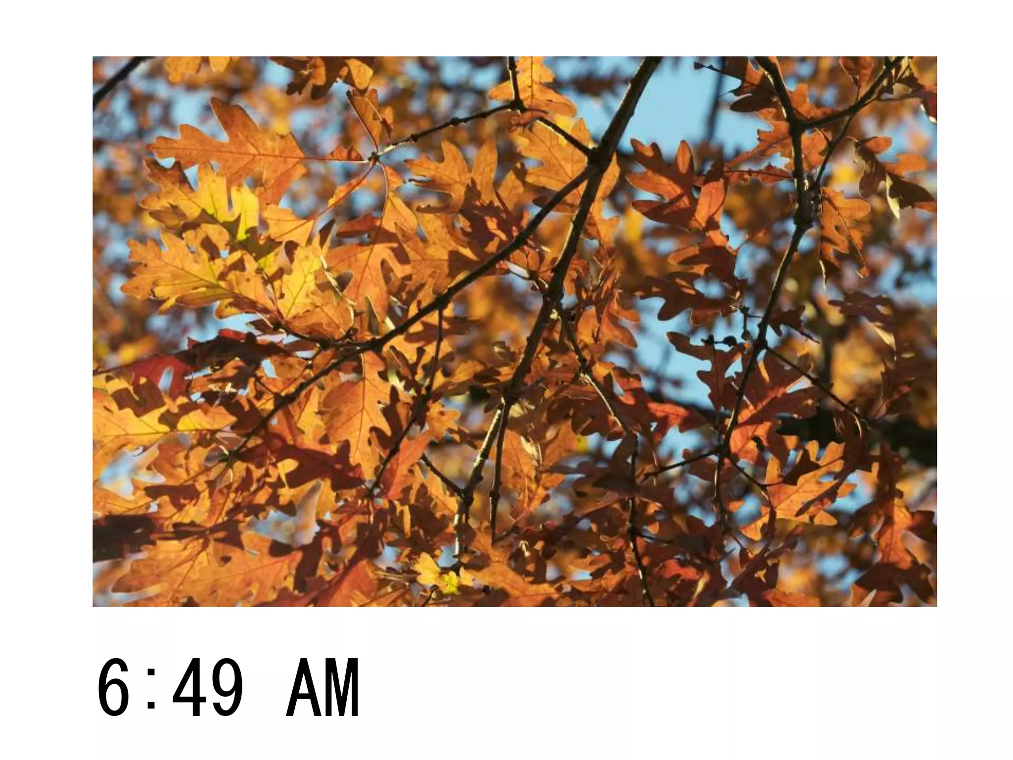 Annotated Introduction to Window Light Portraiture | PPT