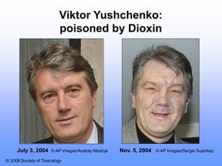 toxocology | PPT | Chemistry | Science