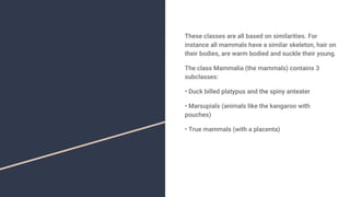 Intro to zoology.pptx