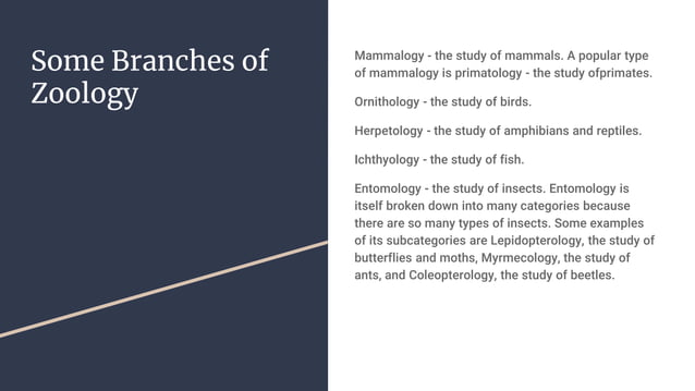 Intro to zoology.pptx