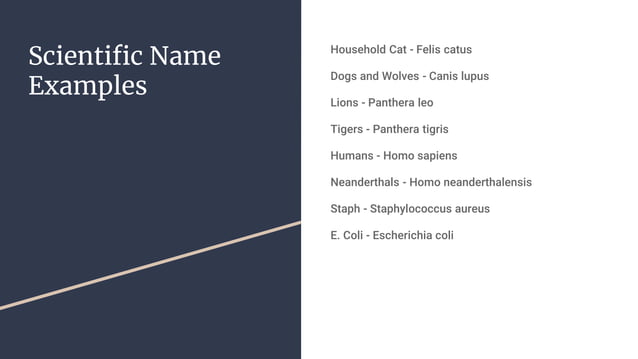 Intro to zoology.pptx