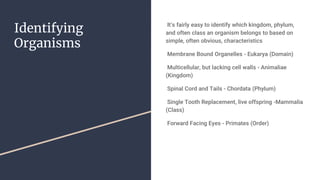 Intro to zoology.pptx