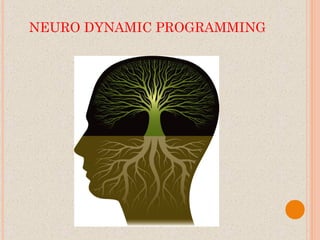 Neuro Dynamic Programming | PPT