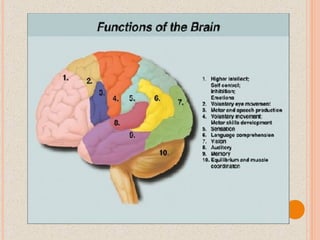Neuro Dynamic Programming | PPT