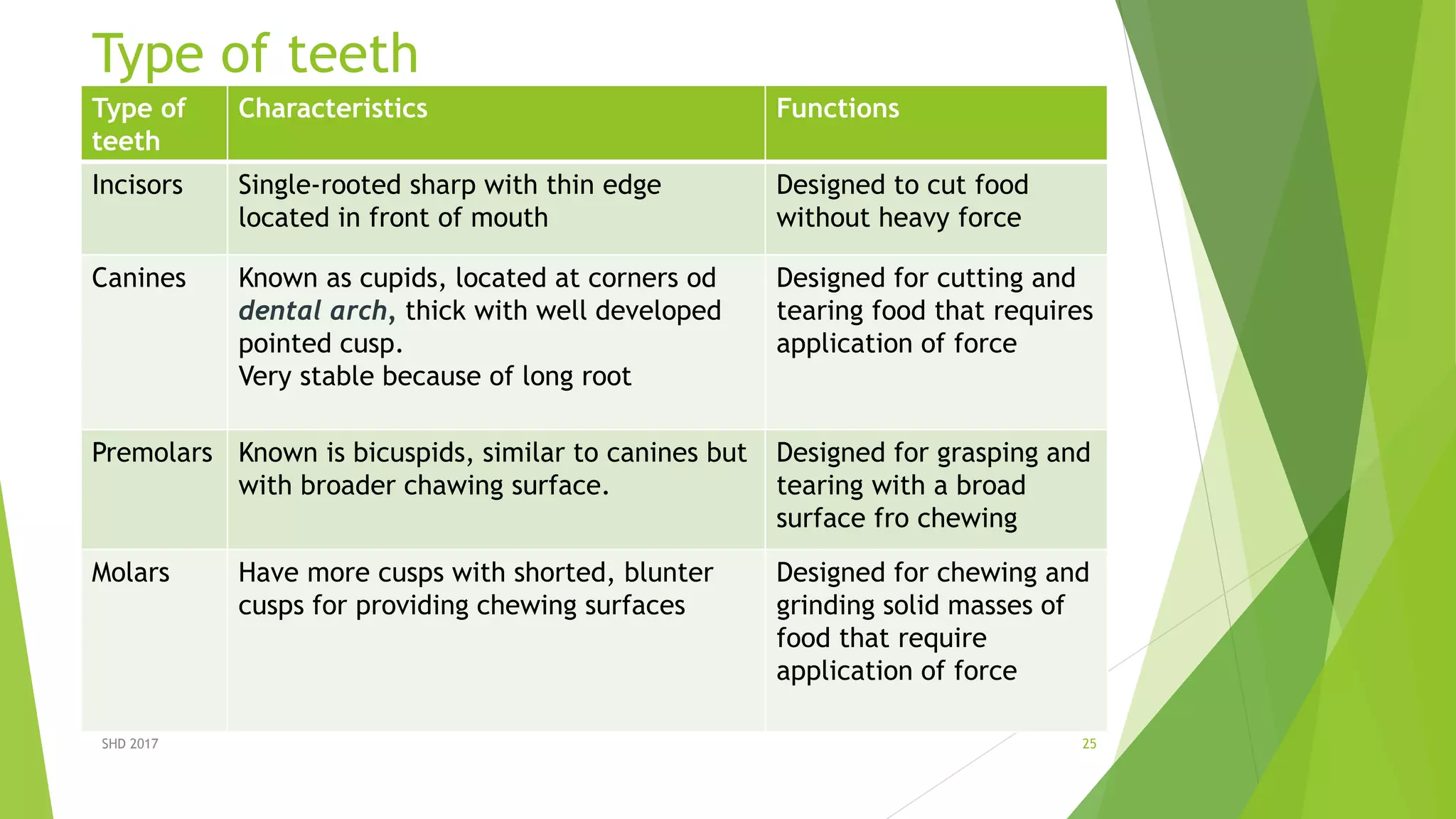 Intro two dental anatomy | PPTX