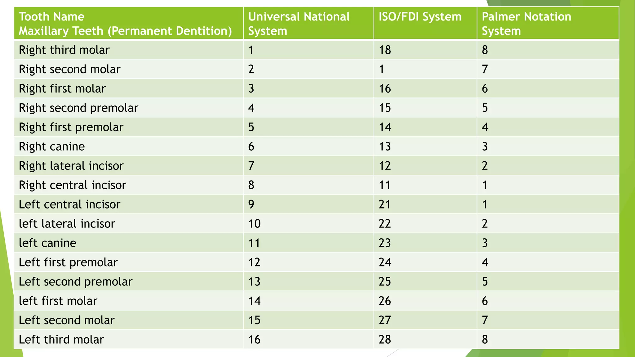 Intro two dental anatomy | PPTX