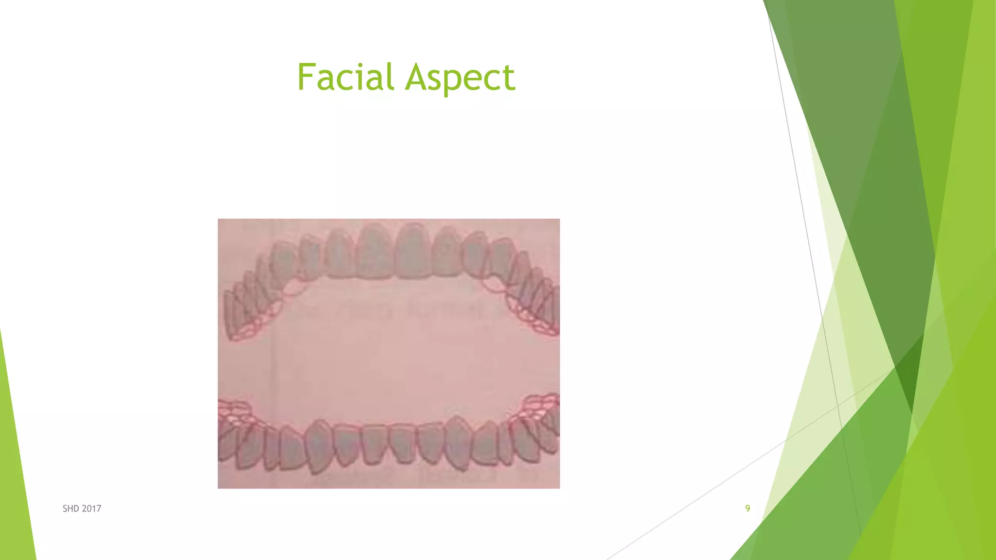 Intro two dental anatomy | PPT