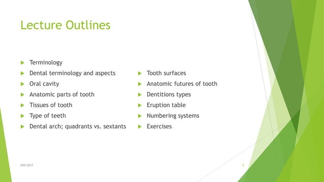 Intro two dental anatomy | PPT