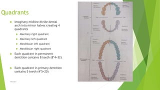 Intro two dental anatomy | PPTX