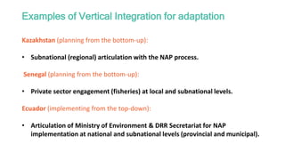 Vertical Integration in the National Adaptation Plan process | PPT