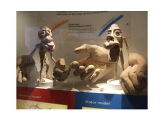 PoP Week 2 | PDF | Brain and Nervous System Disorders | Diseases and ...