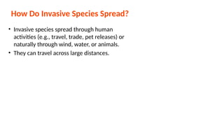 Intruders_in_Ecosystems_Expert.pptx00000 | PPTX