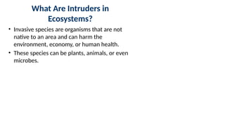 Intruders_in_Ecosystems_Improved.pptxoo0 | PPTX