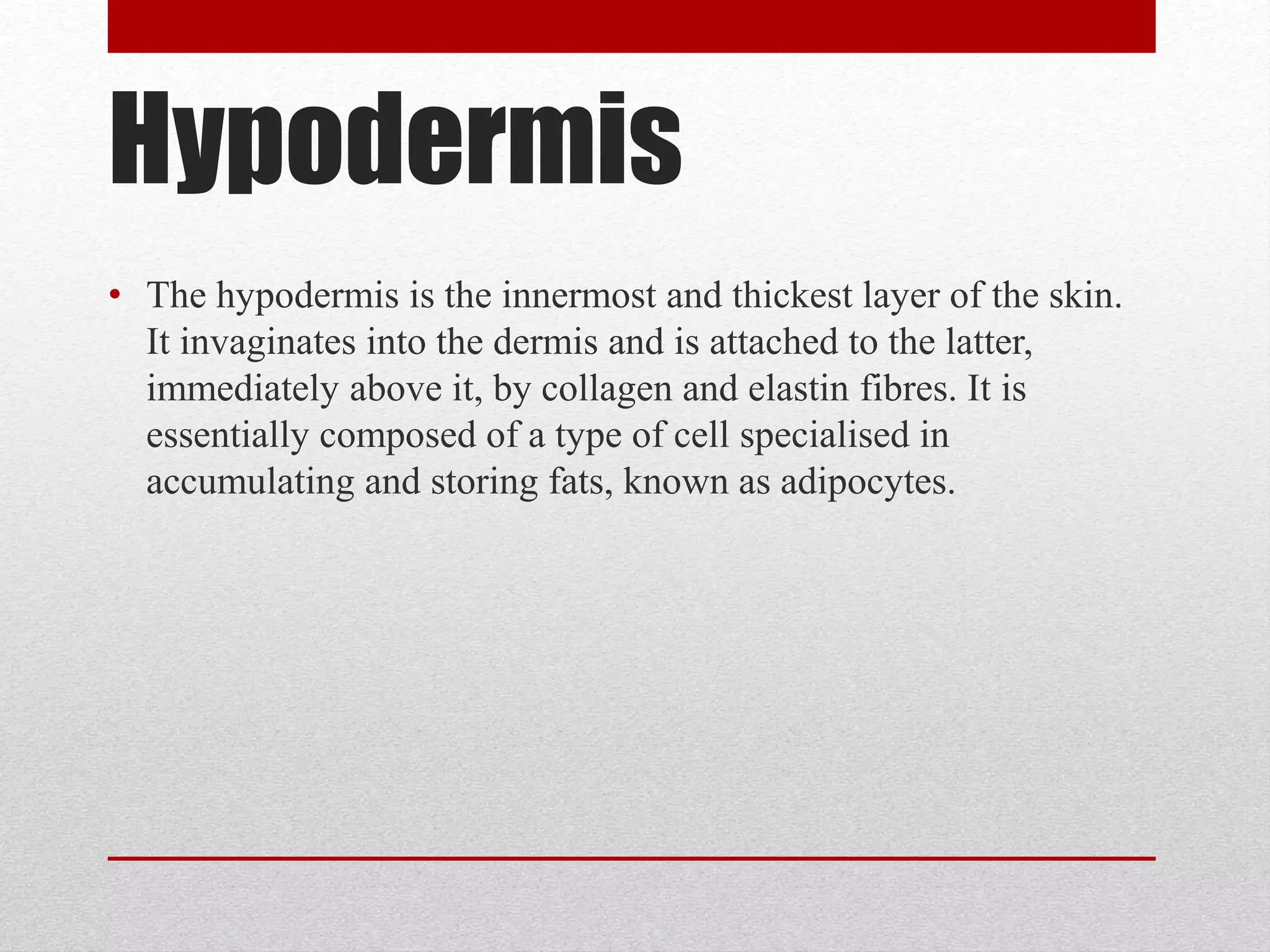 Intrugumentary system | PPTX