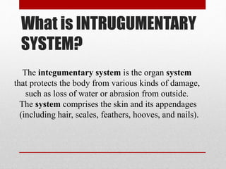 Intrugumentary system | PPTX
