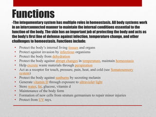 Intrugumentary system | PPTX