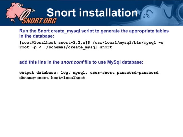 Intrusion Detection System Using Snort Ppt Programming Languages