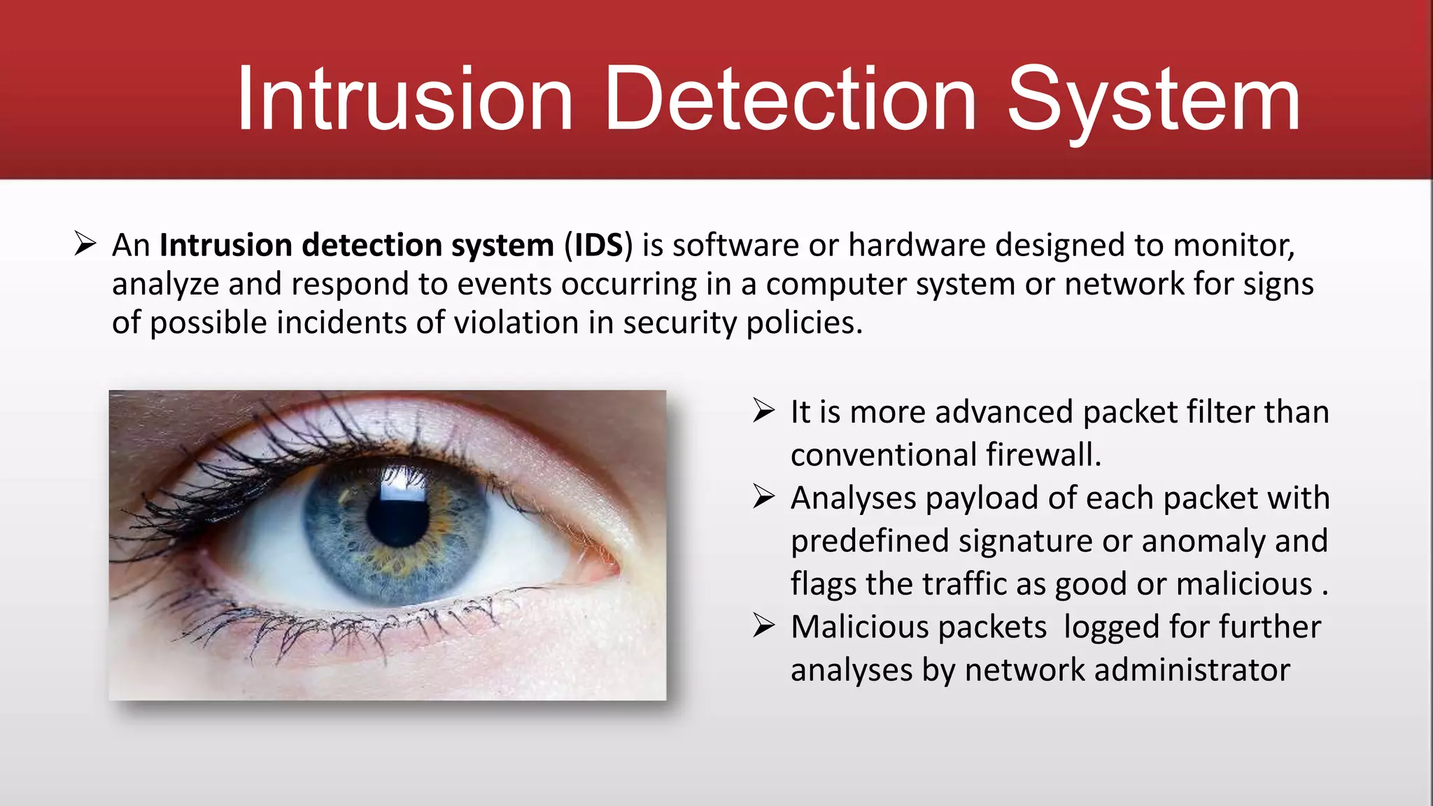 Intrusion Detection And Prevention System Pptx Internet Computing