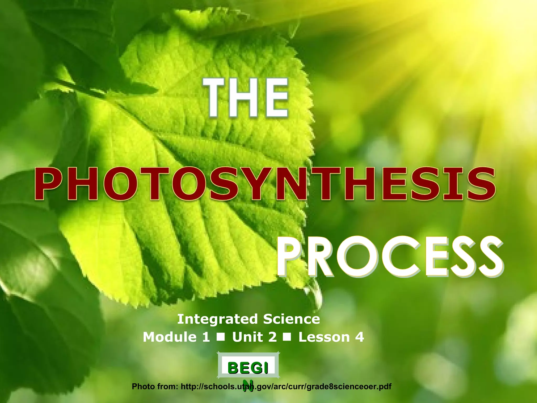 Integrated Science M1 Photosynthesis Process | PPT | Chemistry | Science