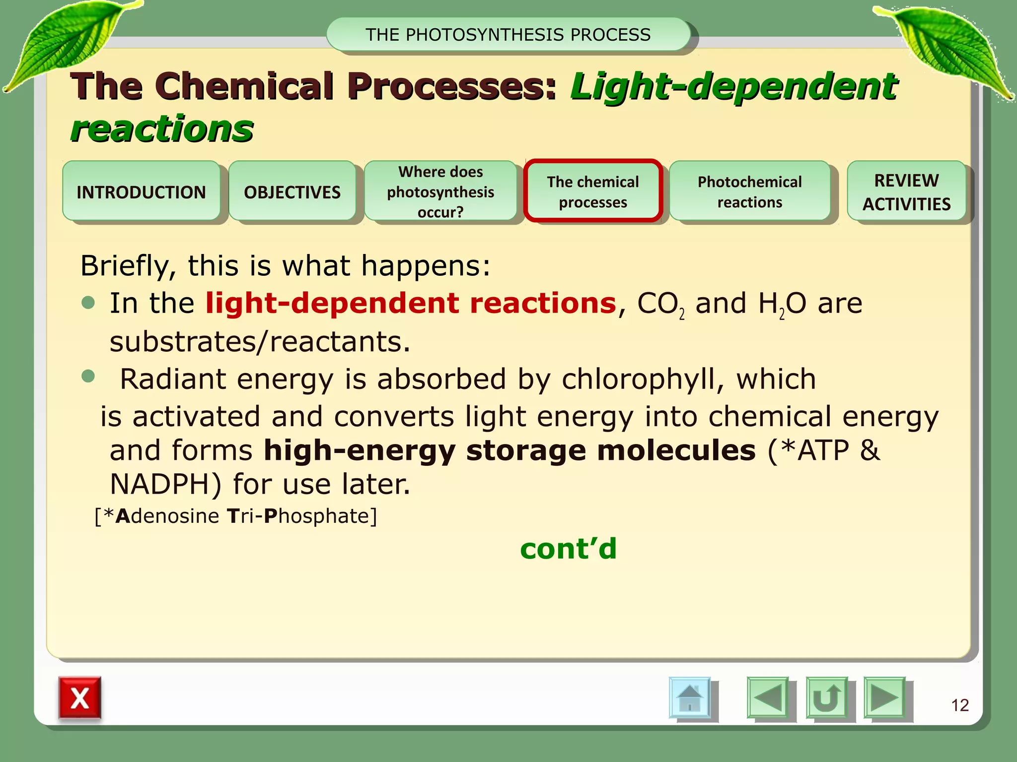 Integrated Science M1 Photosynthesis Process | PPT | Chemistry | Science