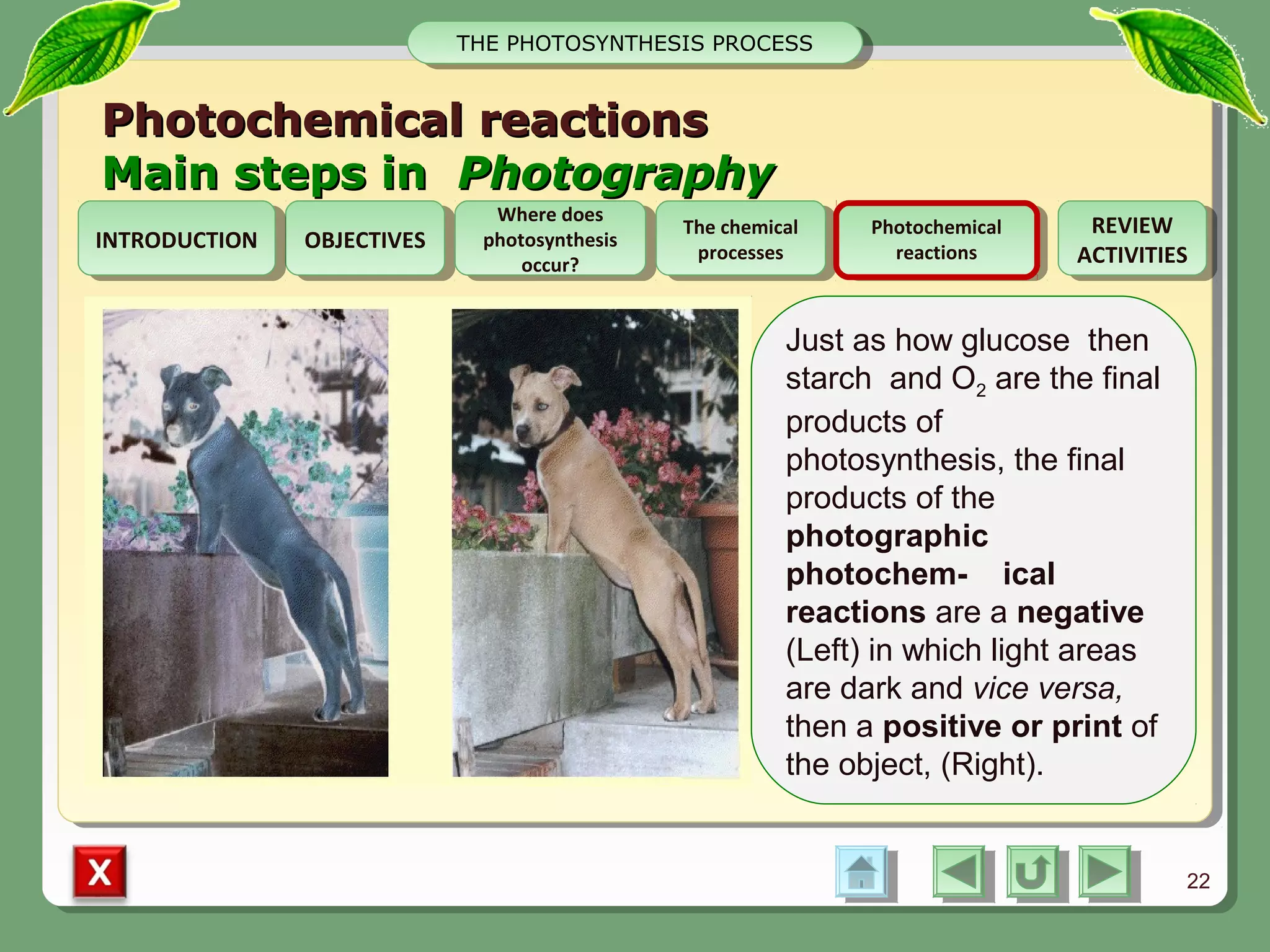 Integrated Science M1 Photosynthesis Process | PPT | Chemistry | Science