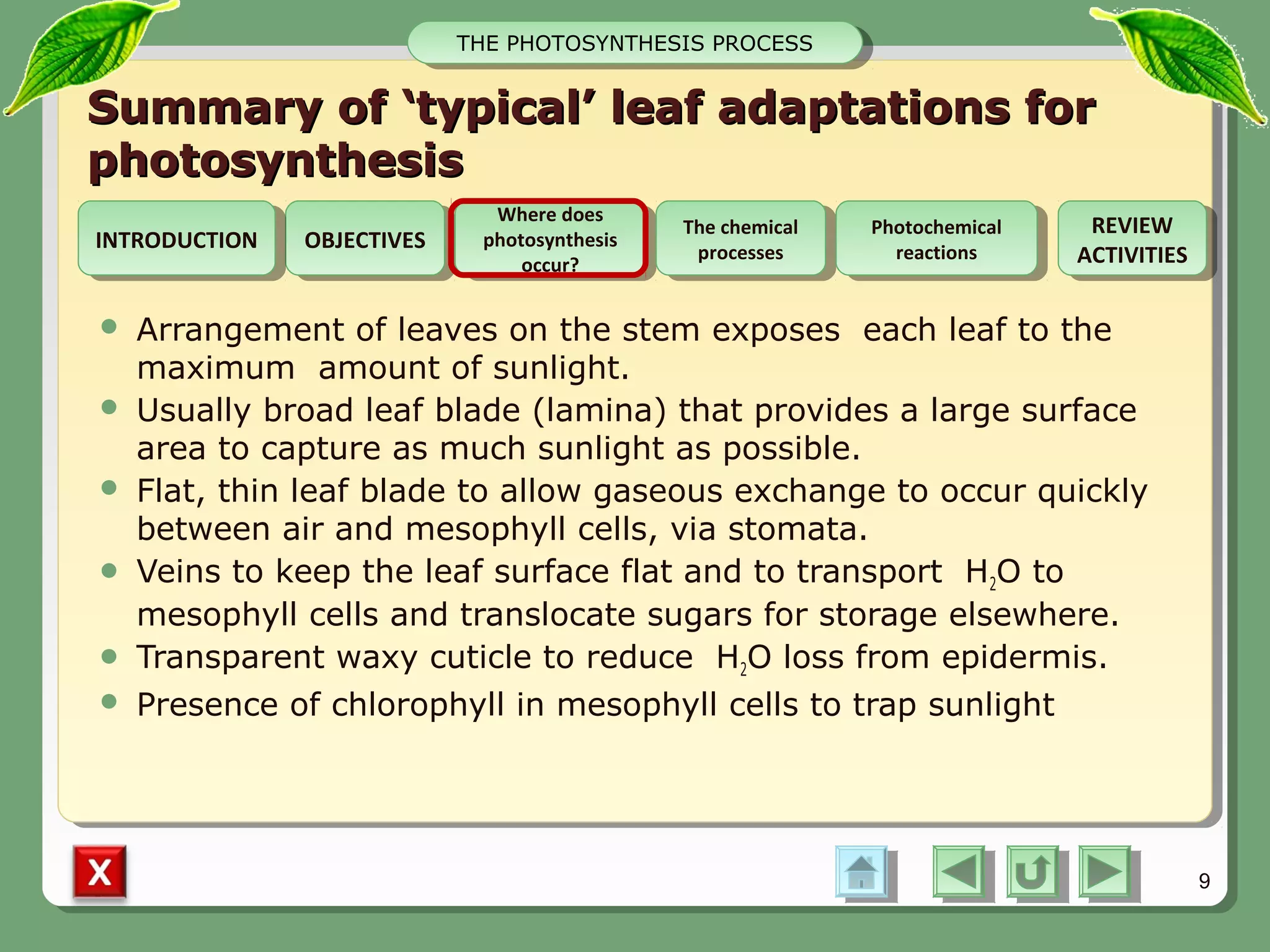Integrated Science M1 Photosynthesis Process | PPT | Chemistry | Science