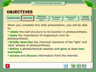 Integrated Science M1 Photosynthesis Process | PPT | Chemistry | Science