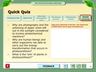 Integrated Science M1 Photosynthesis Process | PPT