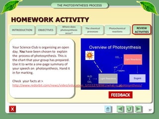 Integrated Science M1 Photosynthesis Process | PPT