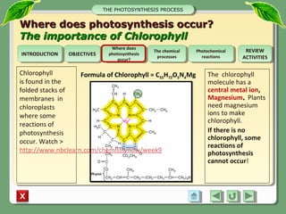 Integrated Science M1 Photosynthesis Process | PPT | Chemistry | Science