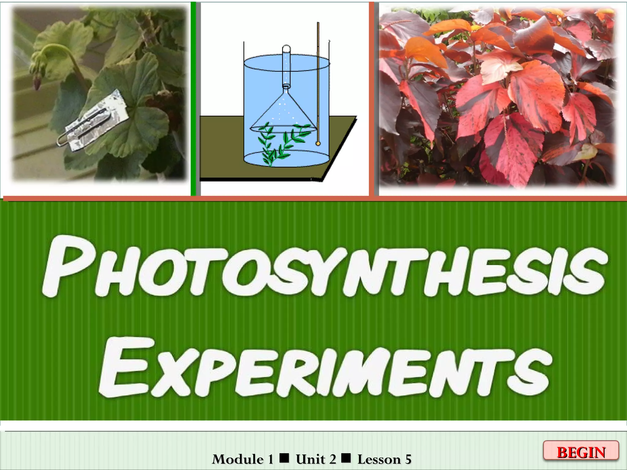 Integrated sc M1 Photosynthesis Experiments | PPT