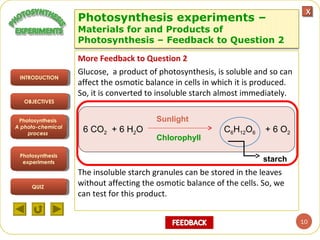 Integrated sc M1 Photosynthesis Experiments | PPT