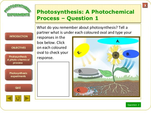 Integrated sc M1 Photosynthesis Experiments