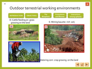 Integrated Science M4 terrestrial environment | PPT