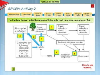 Integrated Science M4 Cycles in Nature | PPT
