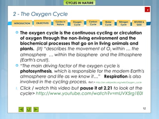 Oxygen Cycle In Nature