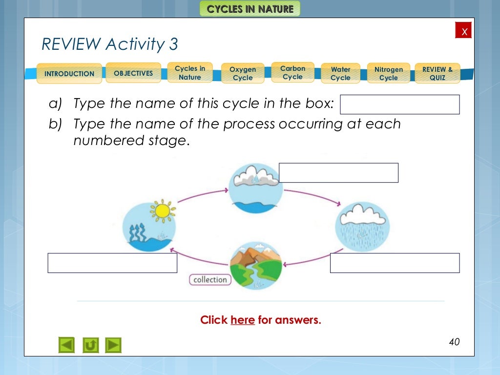 Integrated Science M4 Cycles in Nature