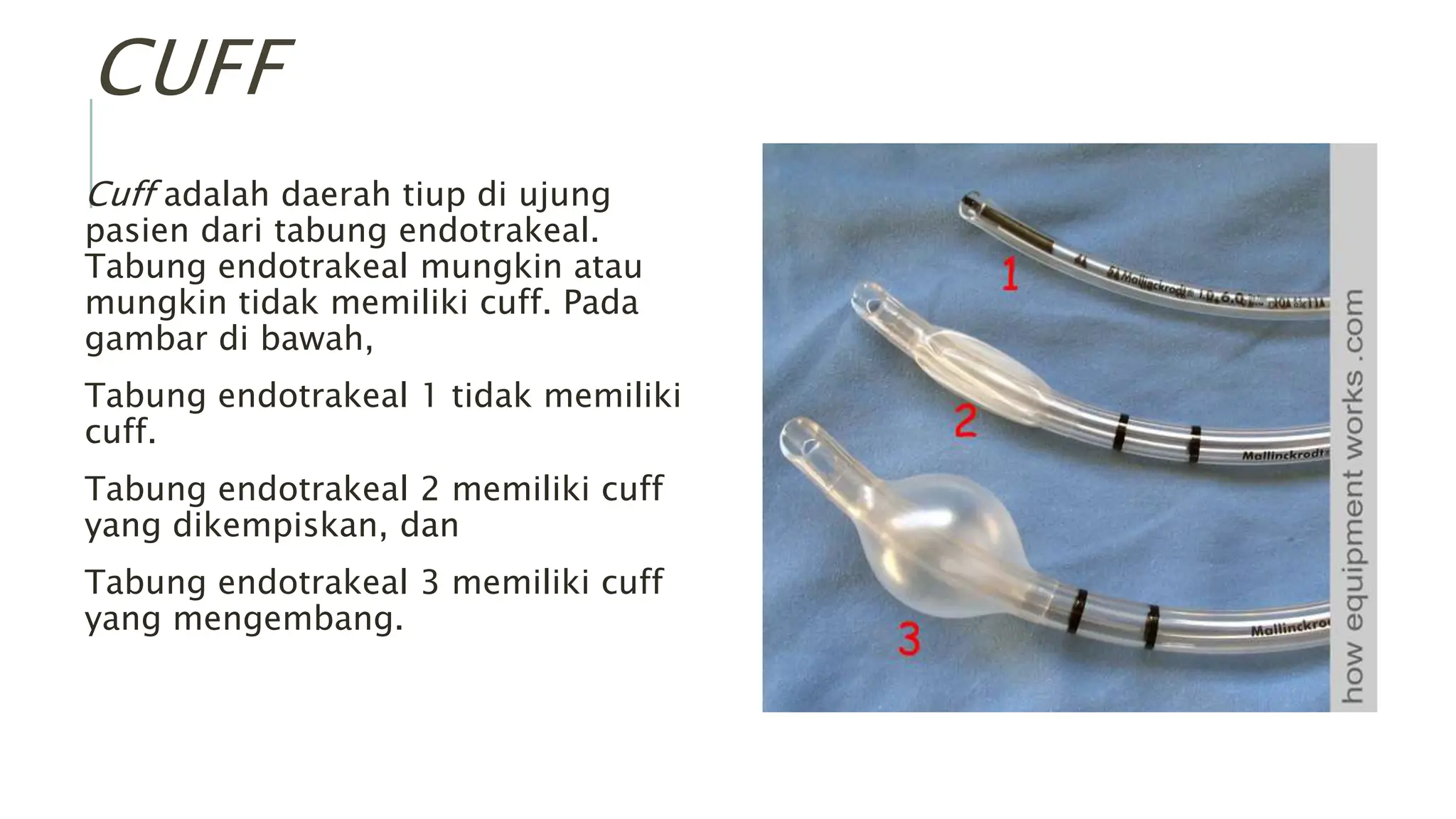 Intubasi endotrakeal memasukan pipa trakea ke dalam trakea melalui rima ...
